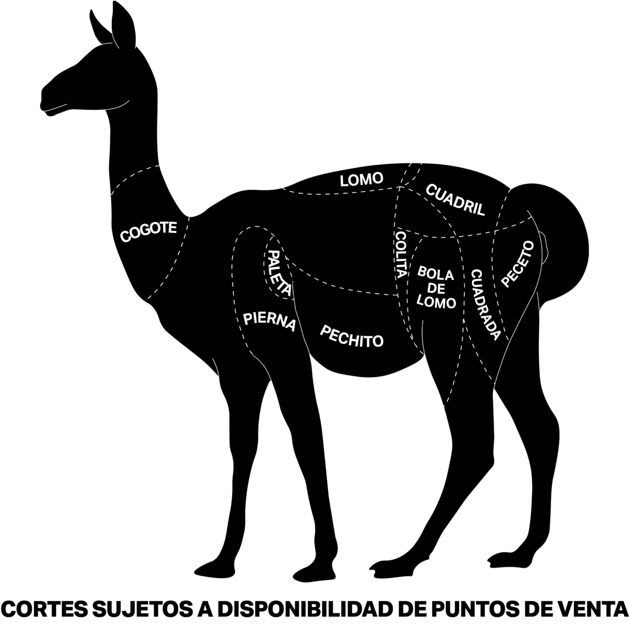 CARNE DE GUANACO | MINPRO Santa Cruz